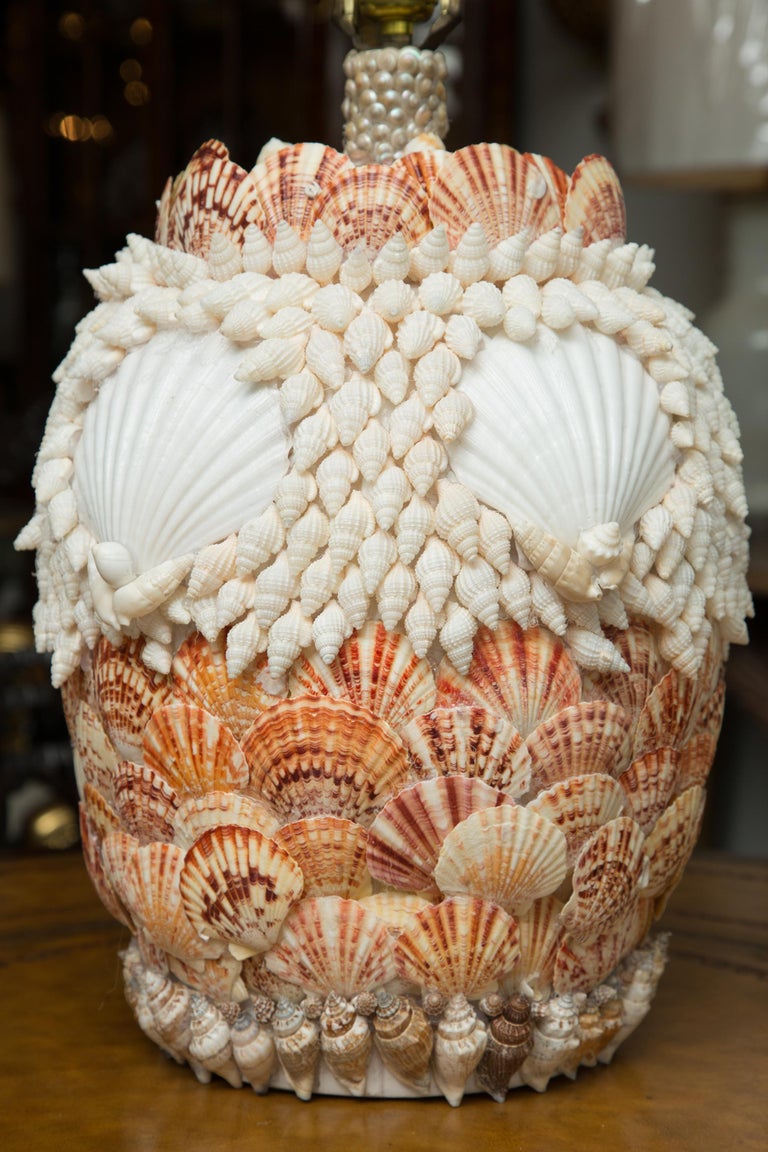 Shell Encrusted Table Lamps at 1stDibs