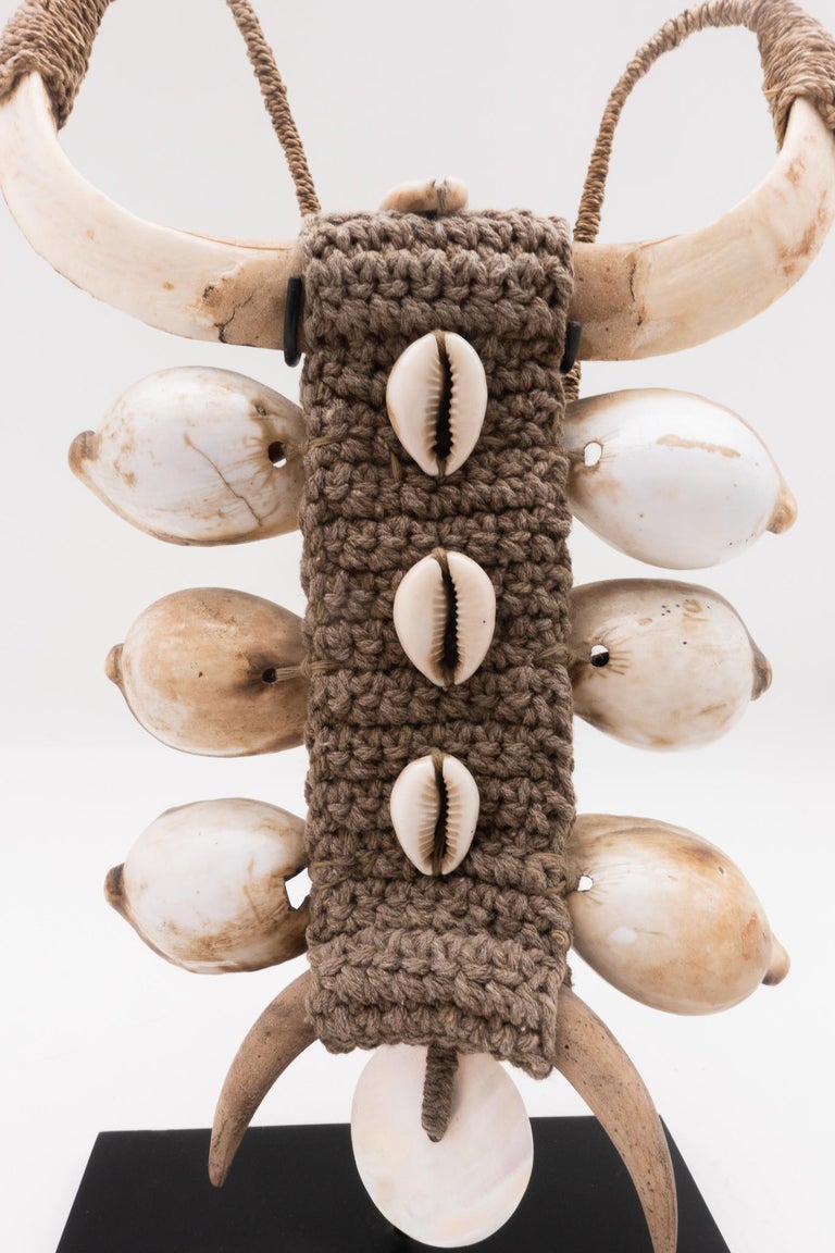 Shell Necklace From Papua New Guinea At 1stdibs Papua New Guinea