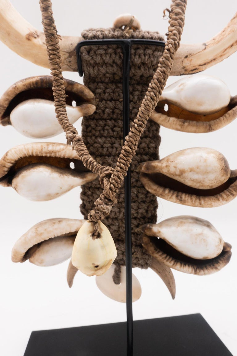 Shell Necklace From Papua New Guinea For Sale At 1stdibs