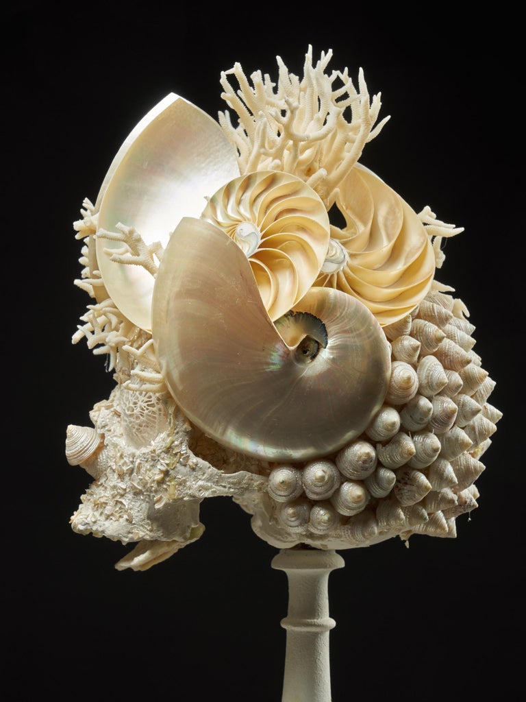 Shell Sculpture of Fantastic Head on Museum Stand at 1stDibs