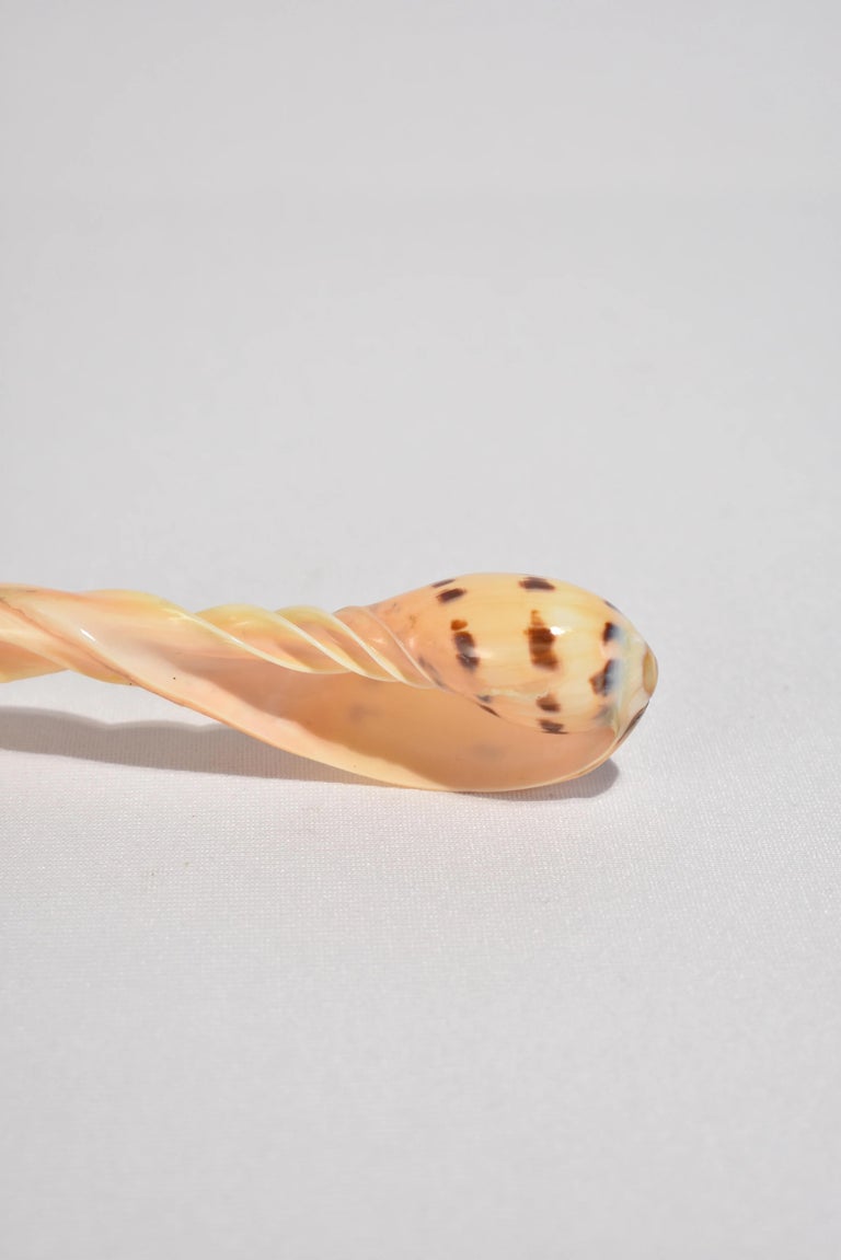 Shell Serving Spoon at 1stDibs