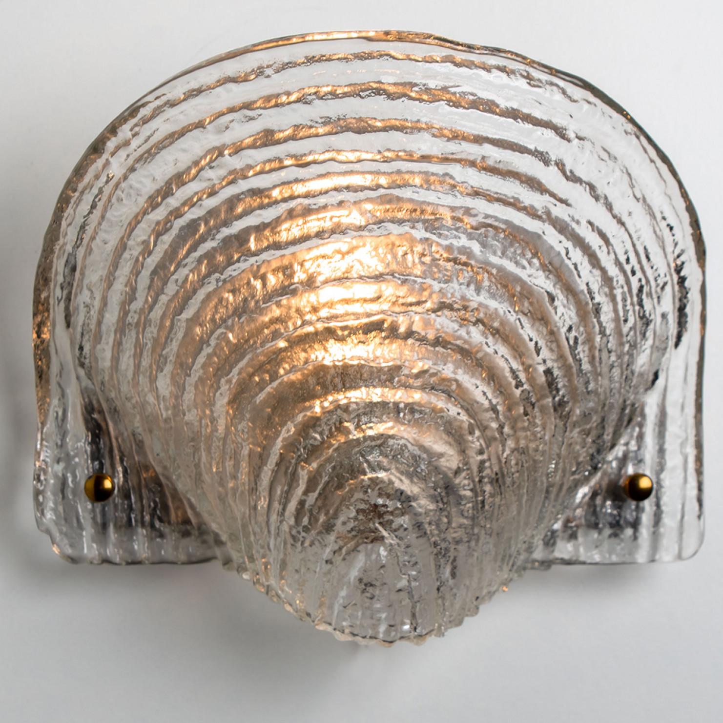 Shell Shaped Ribble Glass Wall Lights, Germany For Sale at 1stDibs