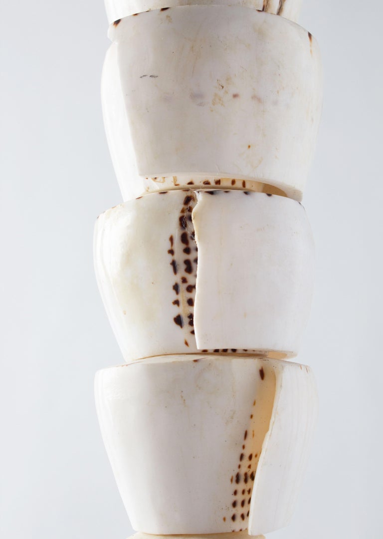 Shell Stack Accessory at 1stDibs