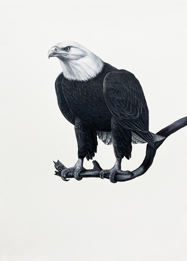 Shelley Reed - Bald Eagle I For Sale at 1stDibs