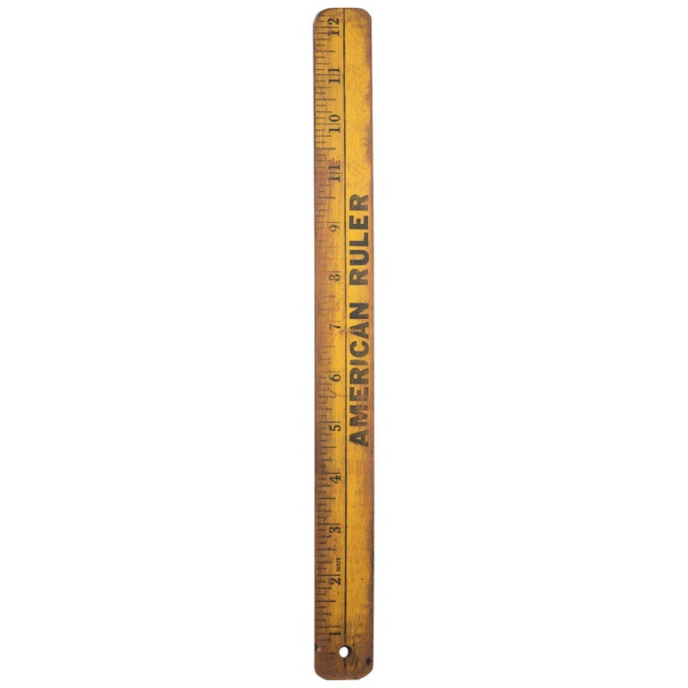 Shelley Spector Ruler at 1stDibs