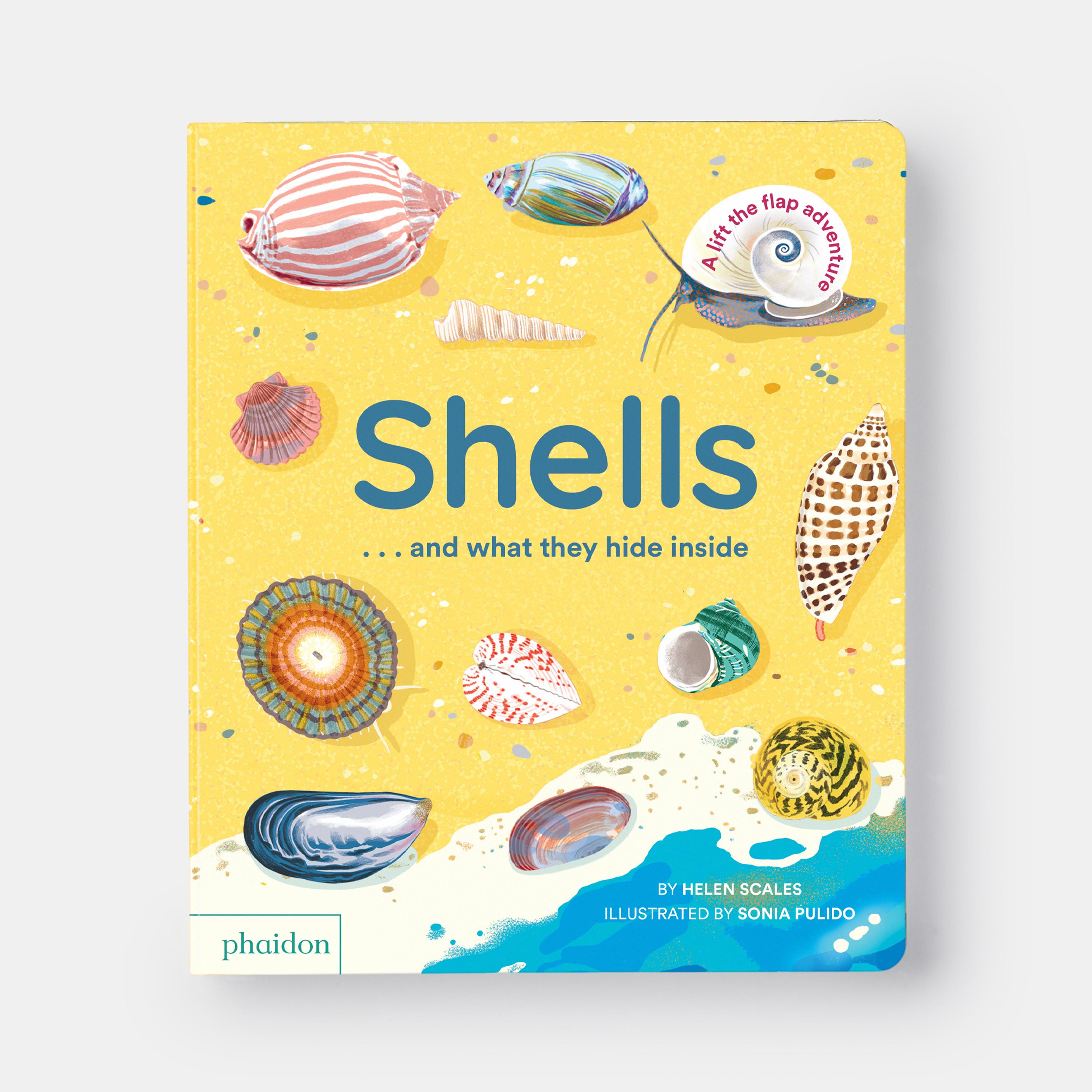 Shells... and what they hide inside at 1stDibs