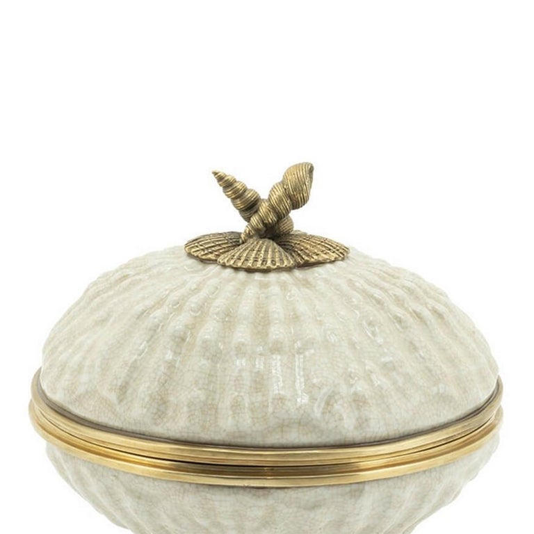 Shells Box For Sale at 1stDibs
