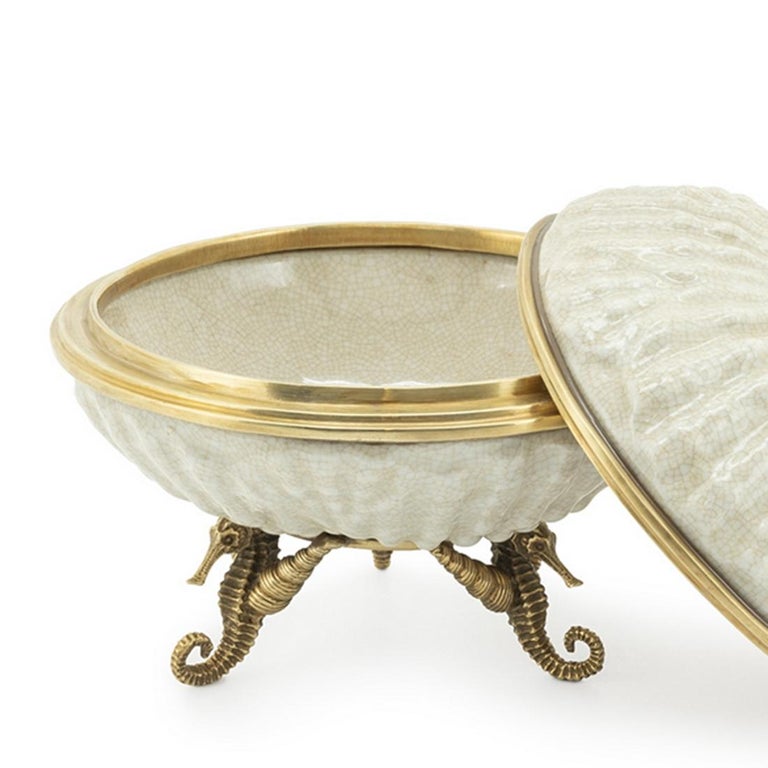 Shells Box For Sale at 1stDibs