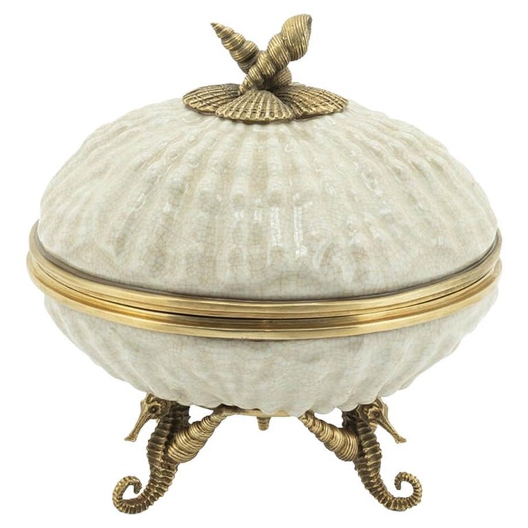 Shells Box For Sale at 1stDibs