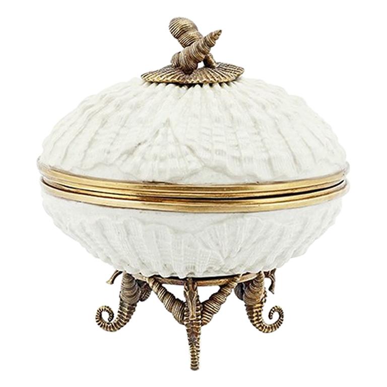 Shells Box in White Porcelain at 1stDibs