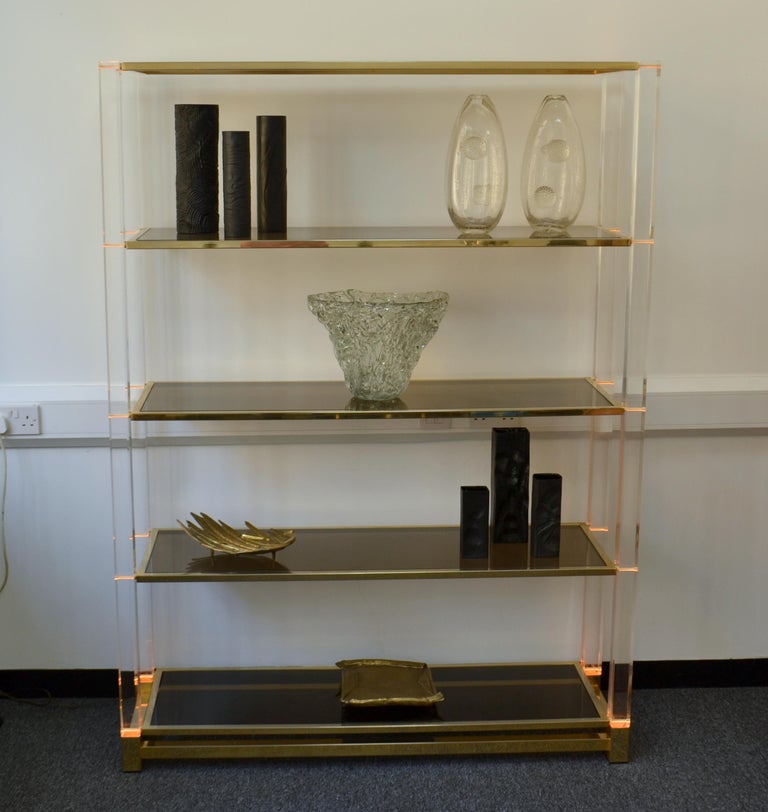 Shelving Display System in Lucite, Glass and Brass by Charles Hollis ...