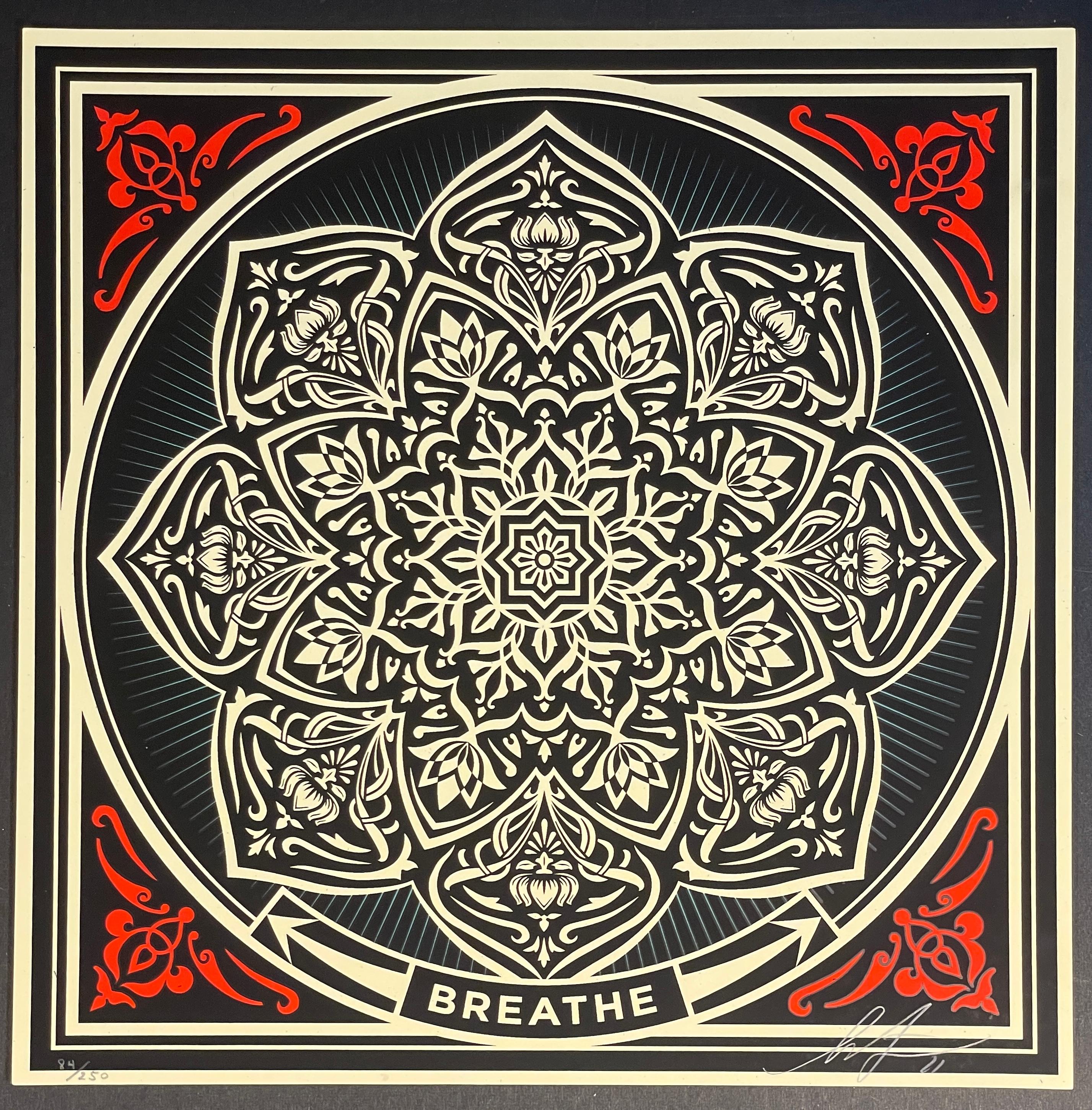 Shepard Fairey - Shepard Fairey "RAGE" Fine Art Screenprint Street ...