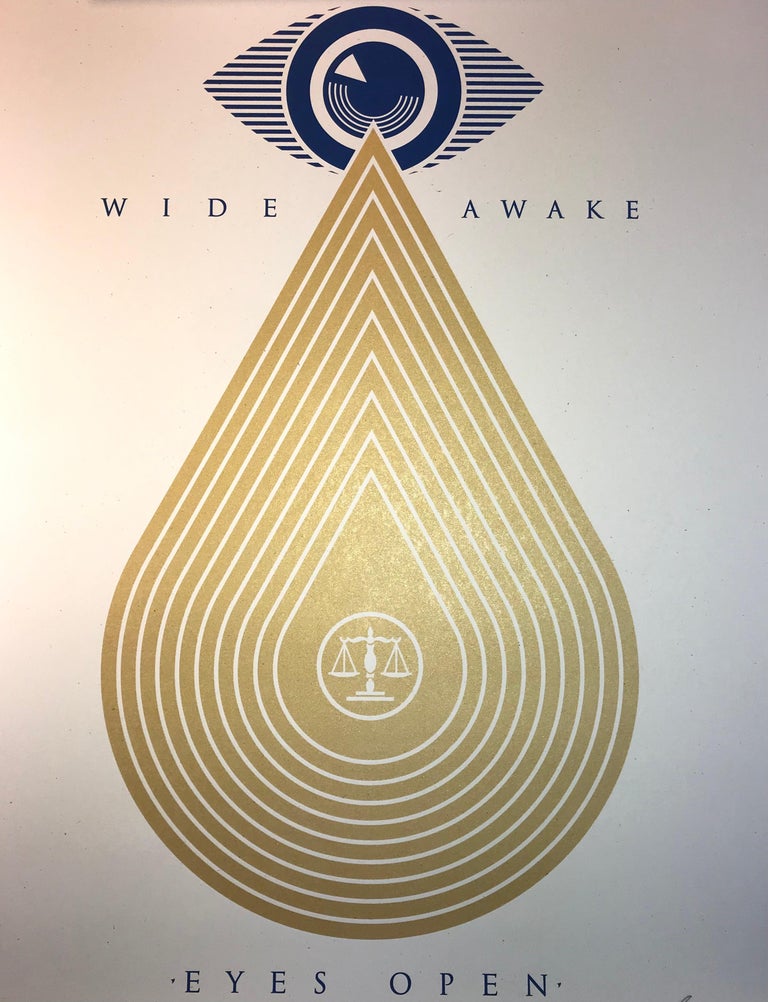 Shepard Fairey - Wide Awakes Campaign 2020 Shepard Fairey Stay Woke ...