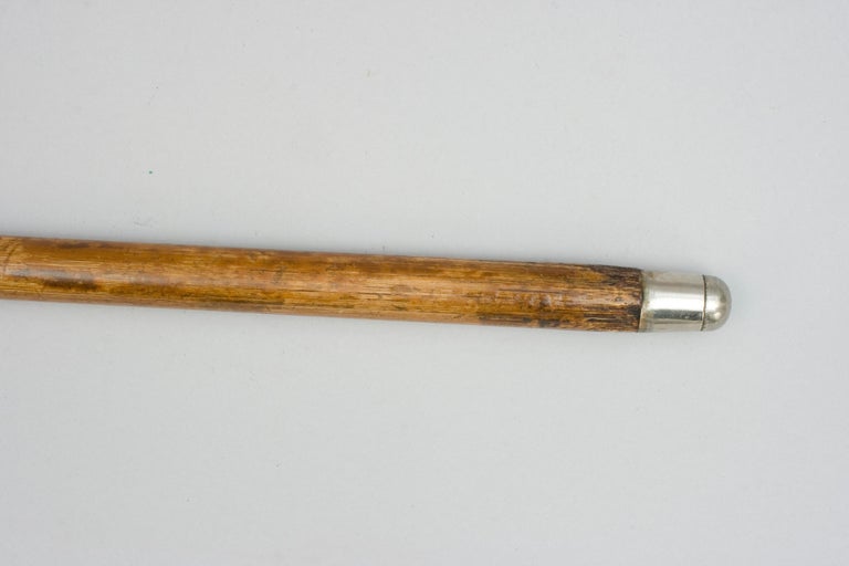 Shepherds Crook Walking Stick With Carved Wood Dogs Head, Walking Cane ...