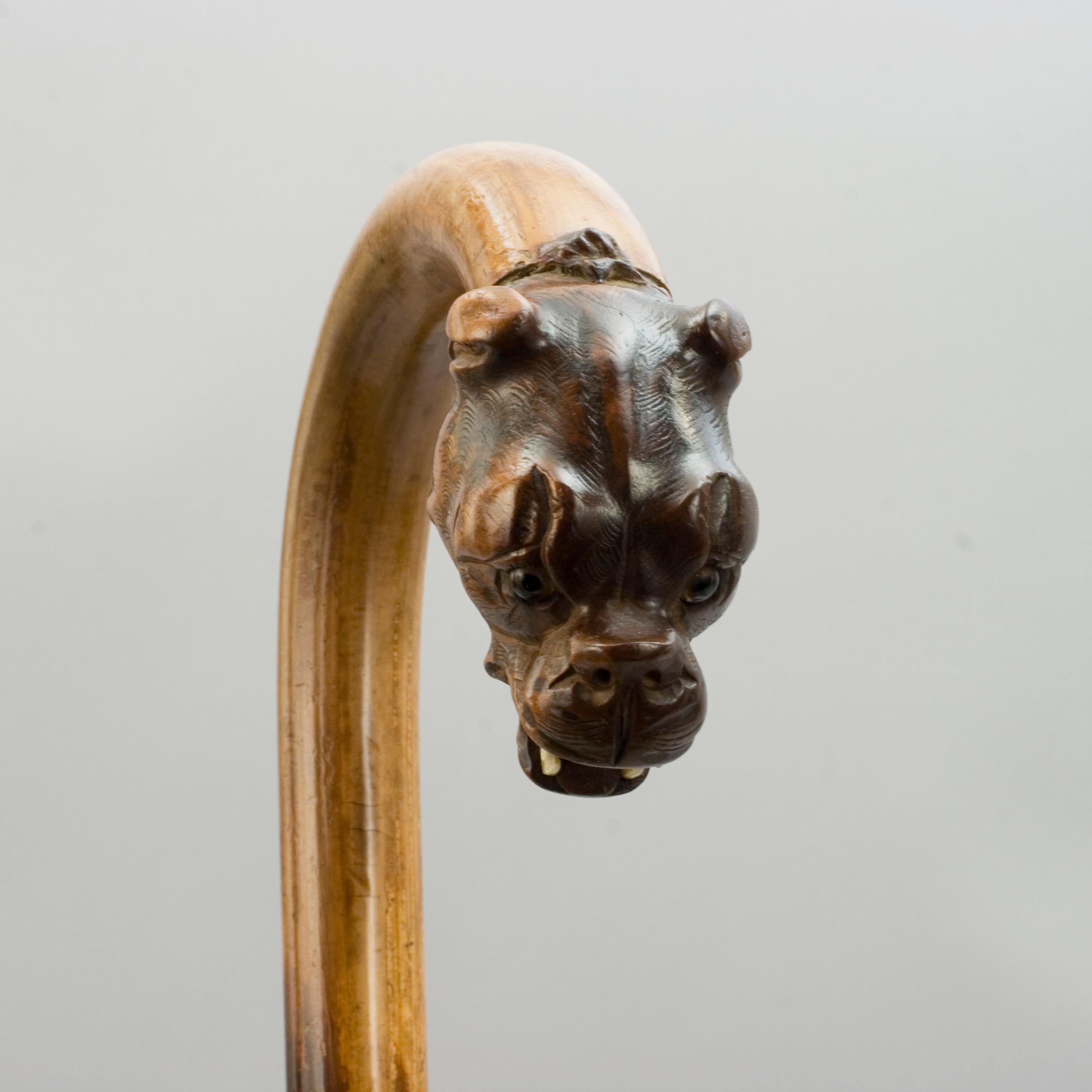 Shepherds Crook Walking Stick With Carved Wood Dogs Head, Walking Cane ...