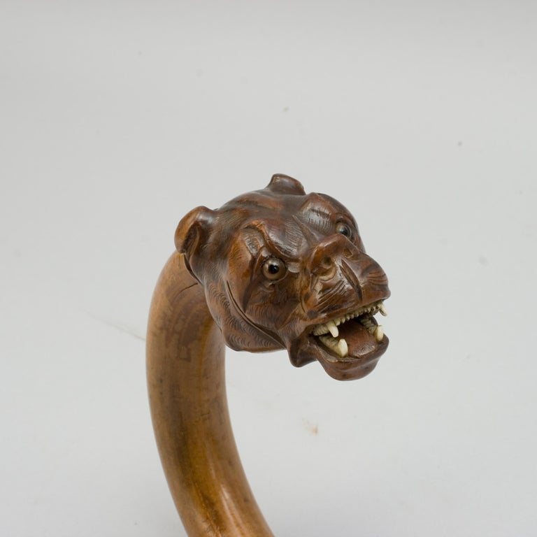 Shepherds Crook Walking Stick With Carved Wood Dogs Head, Walking Cane ...