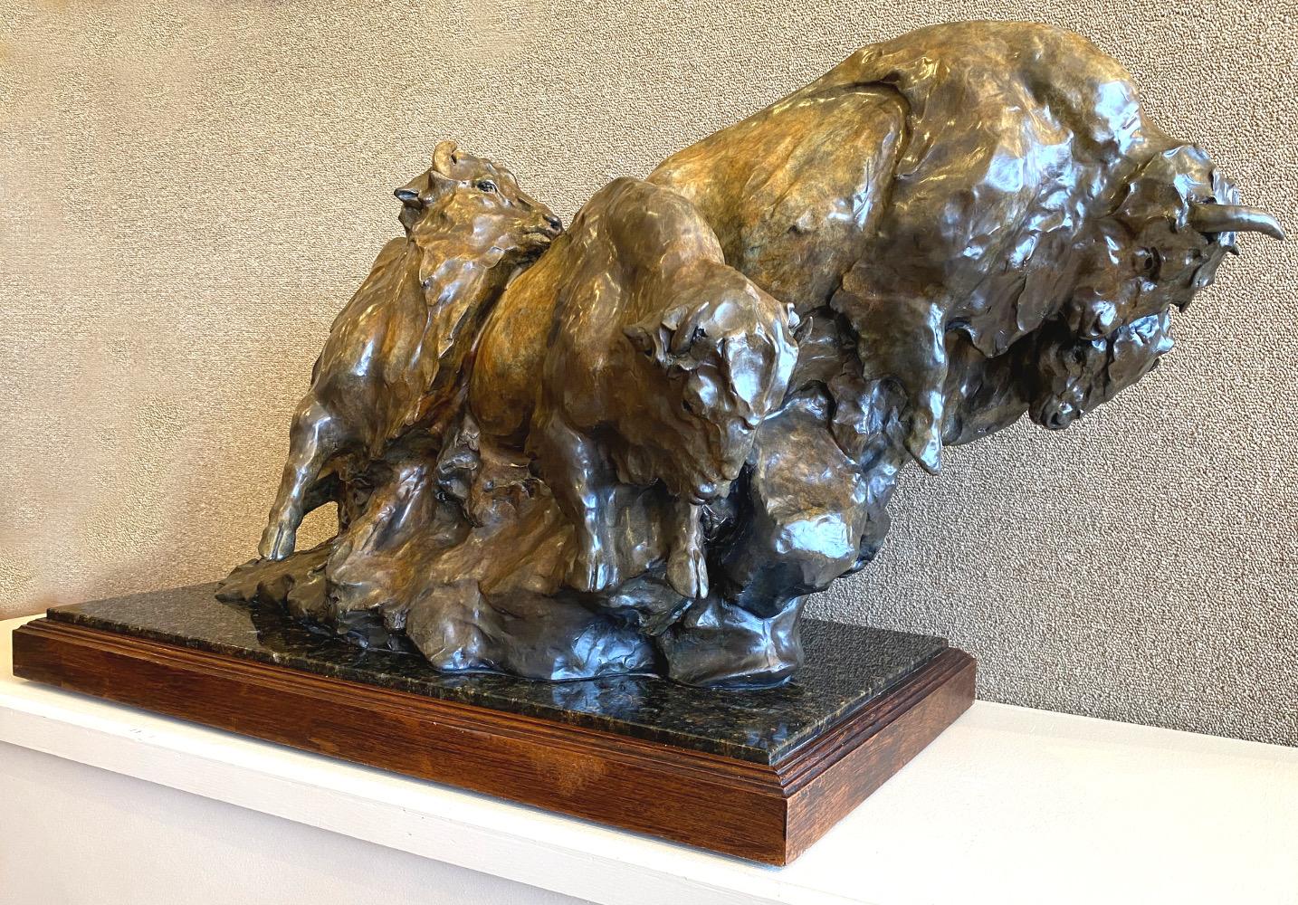 Sherry Salari Sander - "AMERICAN BISON" BUFFALO BRONZE 1987 20 x 30 x ...