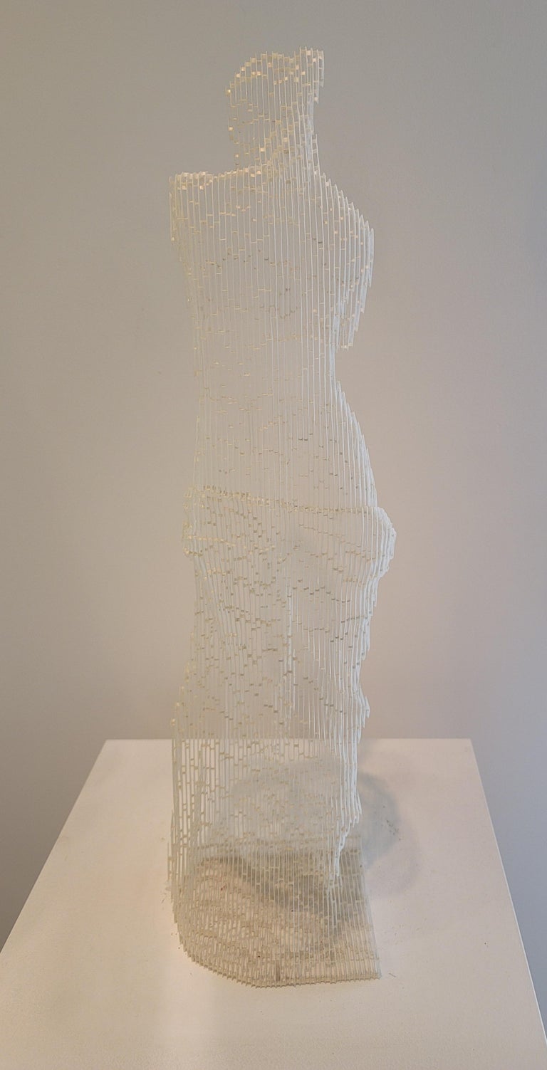 Shin Ho Yoon - There is no Essence: Venus For Sale at 1stDibs