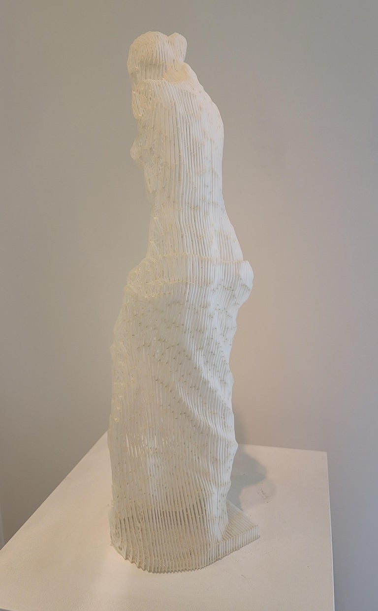 Shin Ho Yoon - There is no Essence: Venus For Sale at 1stDibs