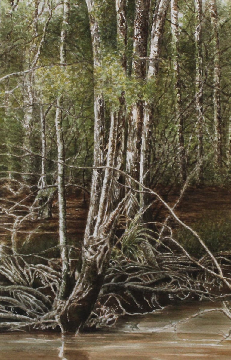 Shirley Rabe' Masinter - "Swamp Trees" original watercolor, trees ...