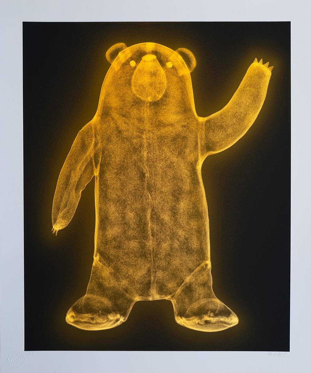 Shok-1 - Bear X-Ray (Neon Orange Fade) For Sale at 1stDibs | bear fade ...
