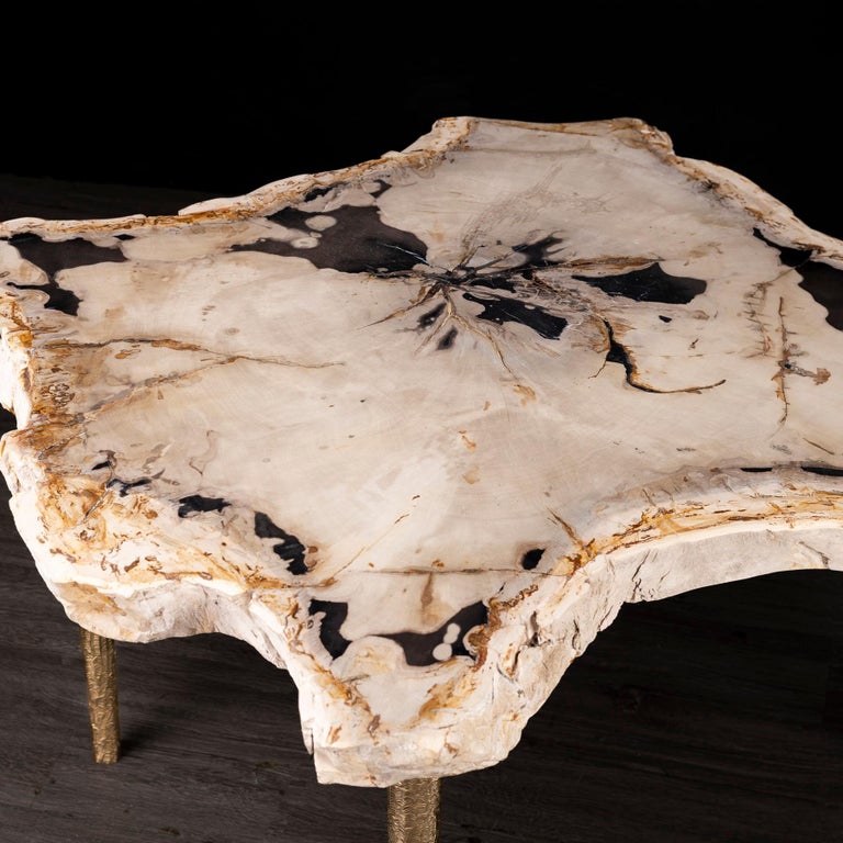 Side or Coffee Table, Petrified Wood with Solid Bronze Base For Sale at ...