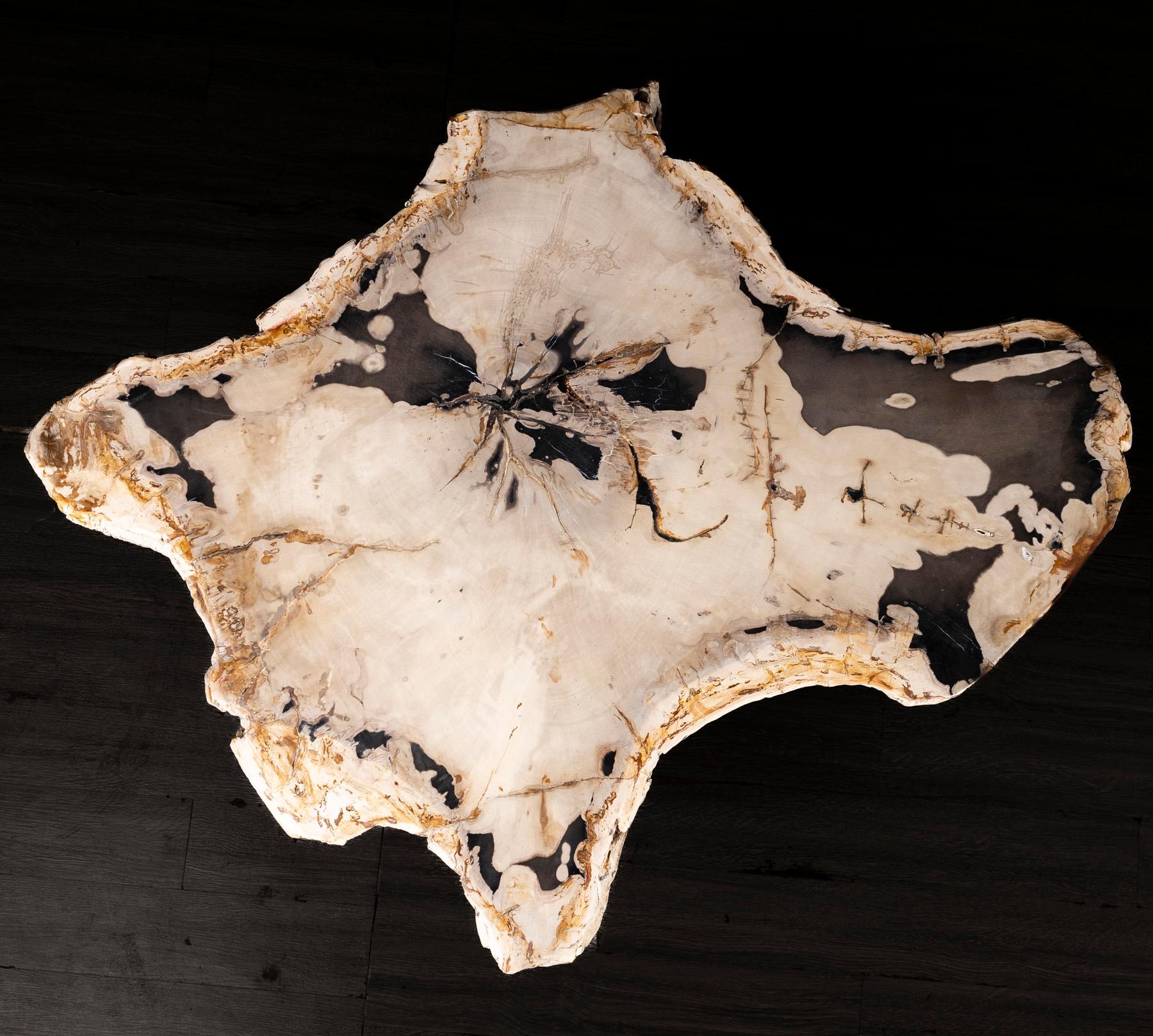 Side or Coffee Table, Petrified Wood with 4 Solid Bronze legs at 1stDibs