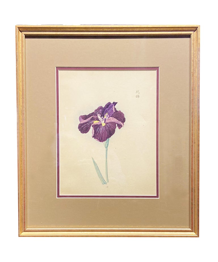 Signed 19th Century Woodblock Print Depicting a Japanese Iris in Gilt ...