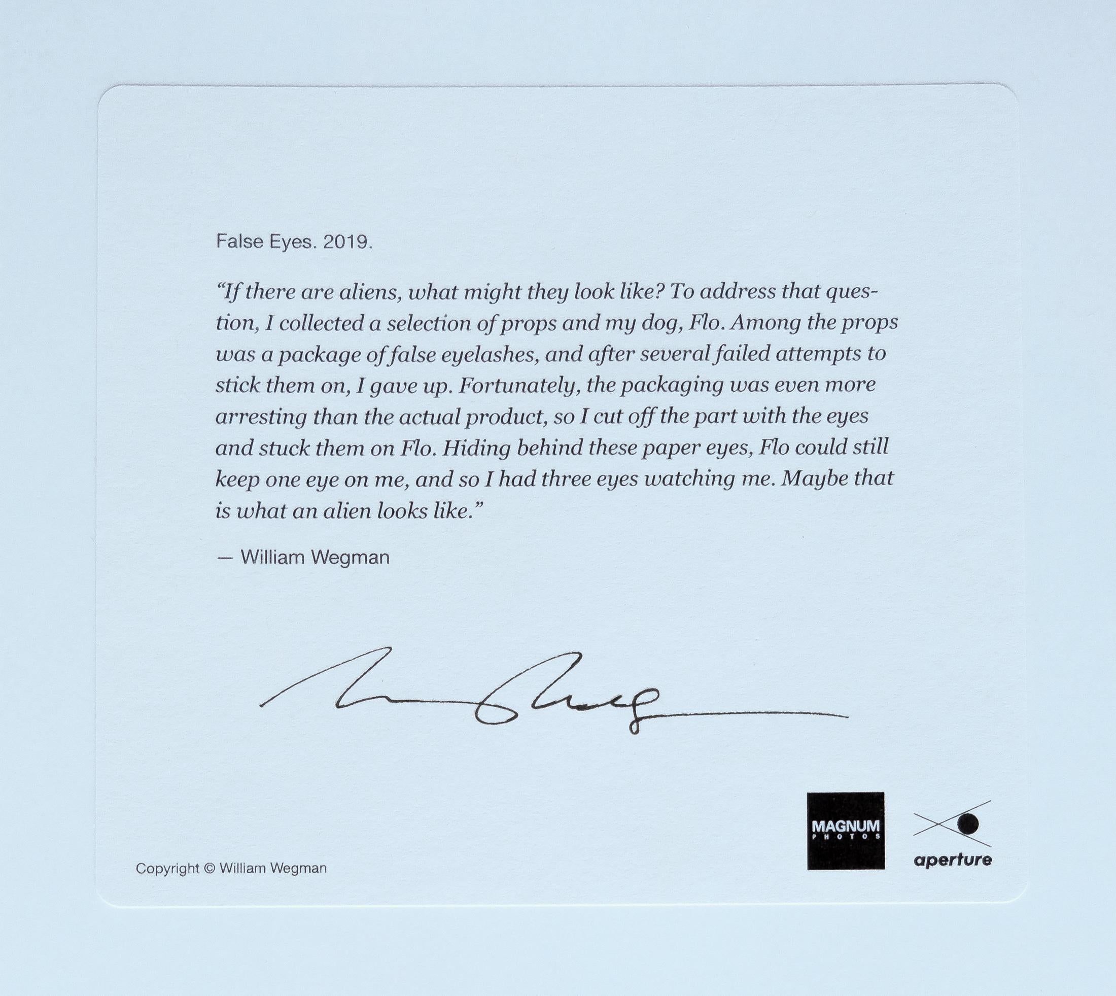 Signed and Framed William Wegman “False Eyes" Limited Edition Magnum ...