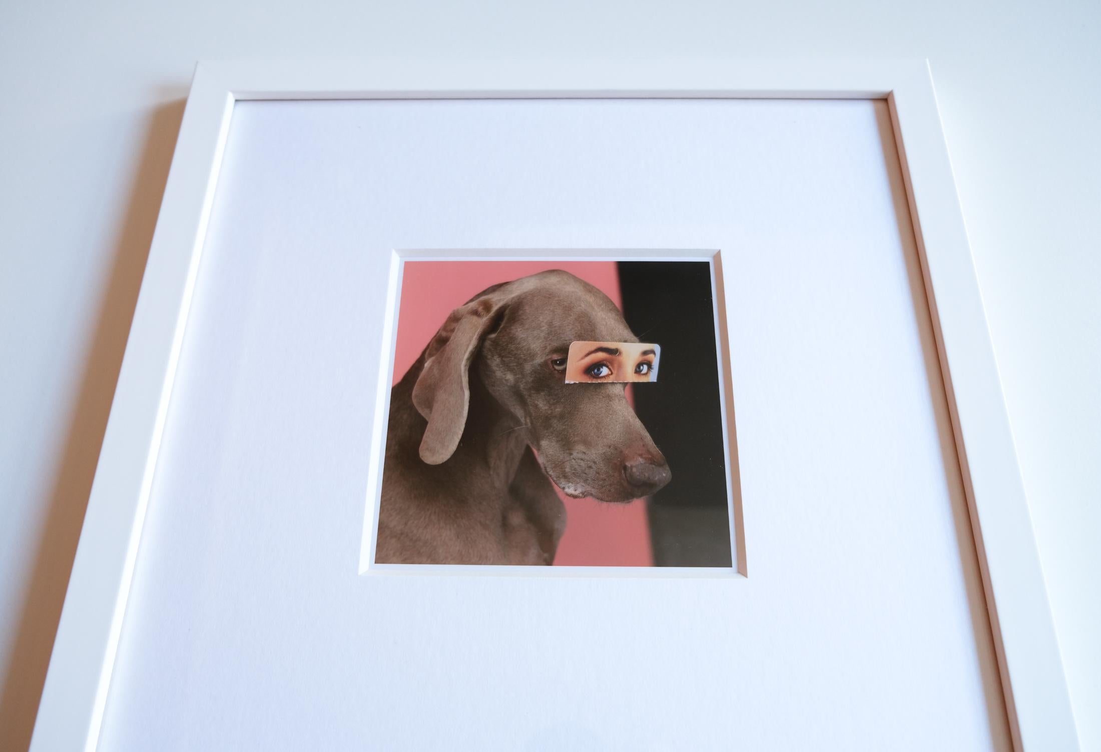 Signed and Framed William Wegman “False Eyes" Limited Edition Magnum ...