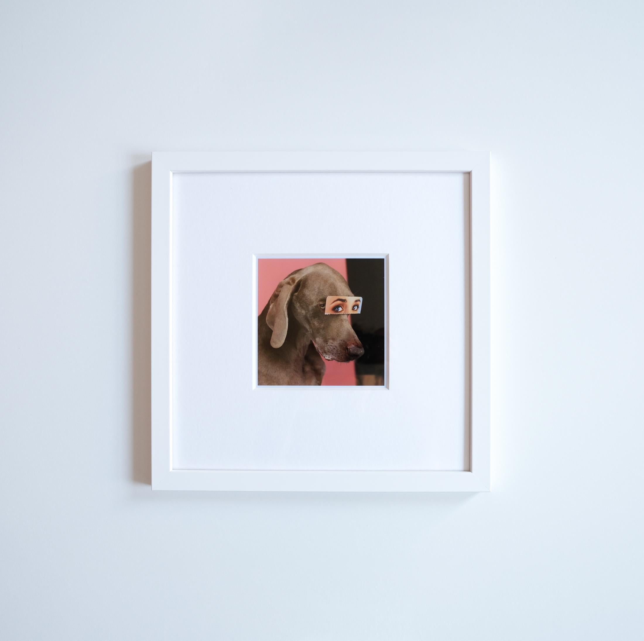 Signed and Framed William Wegman “False Eyes" Limited Edition Magnum ...