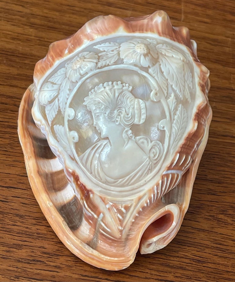 Signed Hand Carved Cameo on Conch Shell For Sale at 1stDibs