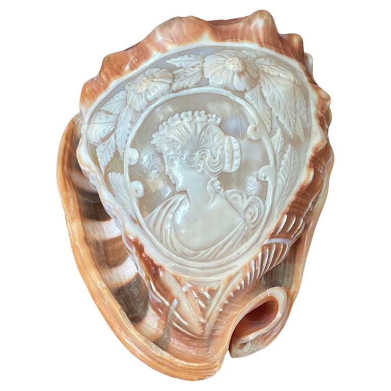 Signed Hand Carved Cameo on Conch Shell For Sale at 1stDibs