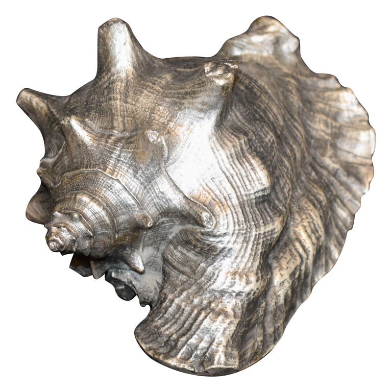 Silver Leaf Natural Sea Shell at 1stDibs