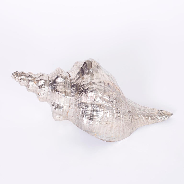 Silver Plated Horse Conch Shell at 1stDibs