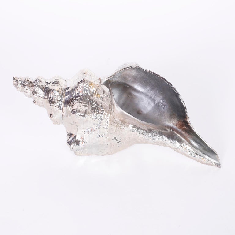 Silver Plated Horse Conch Shell at 1stDibs