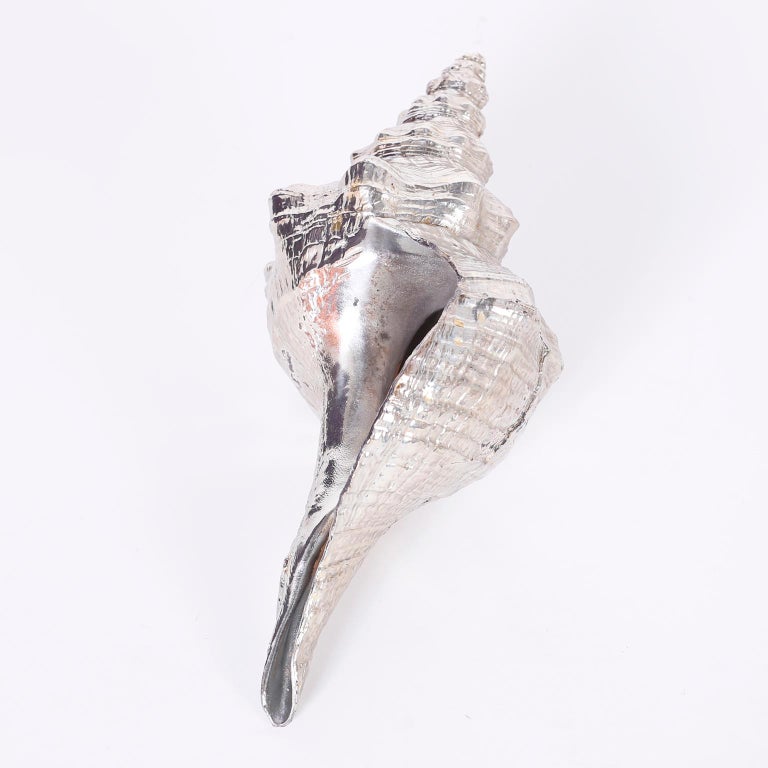Silver Plated Horse Conch Shell at 1stDibs
