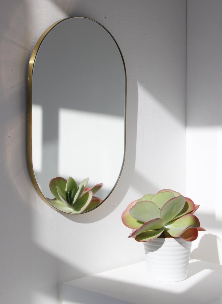 Silver Wide Capsule Mirror with a Brass Frame at 1stDibs