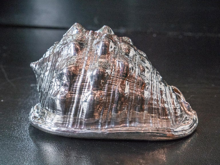 Silvered Sea Shell Cassis For Sale at 1stDibs