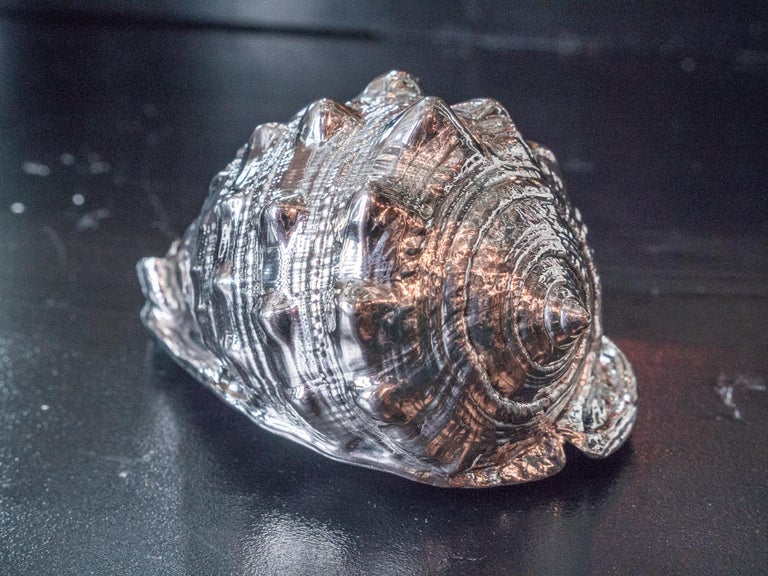 Silvered Sea Shell Cassis For Sale at 1stDibs