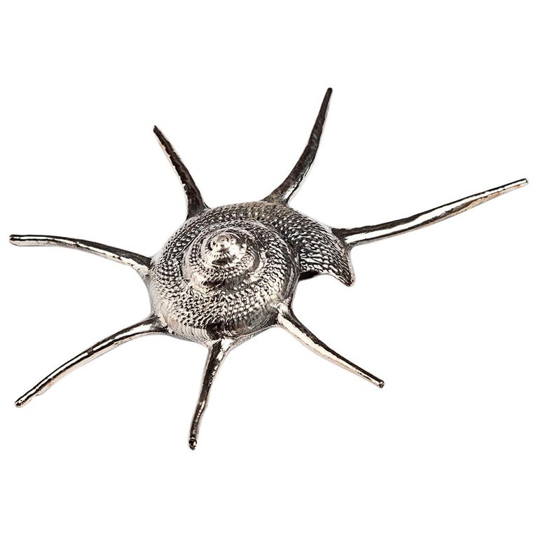 Silvered Sea Shell Triumphant Star For Sale at 1stDibs