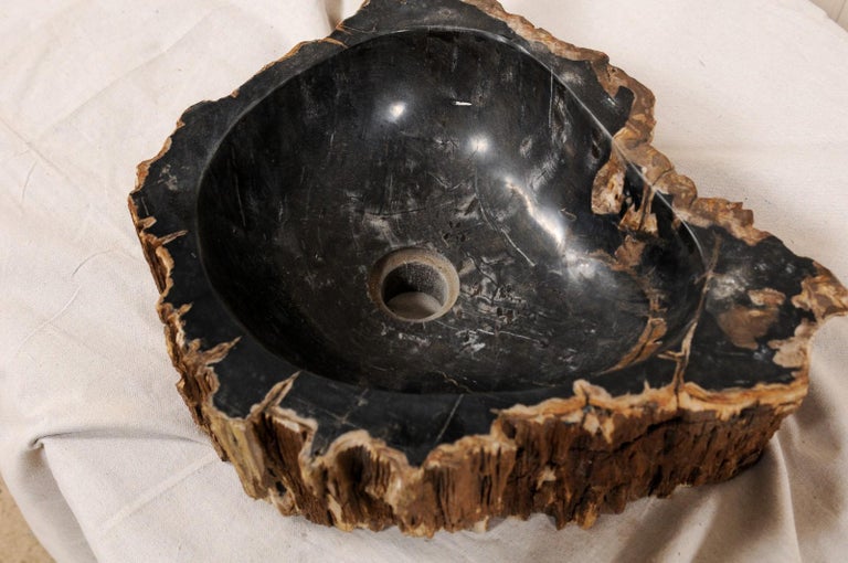Single Black and Brown Polished Petrified Wood Sink Wash Basin at 1stDibs