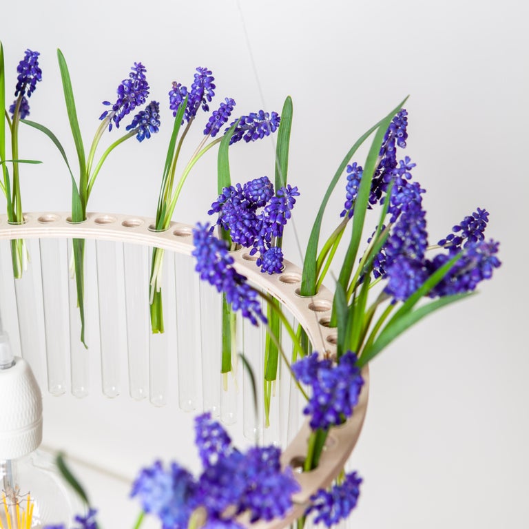 Single Black Maria SC Chandelier by Pani Jurek For Sale at 1stDibs