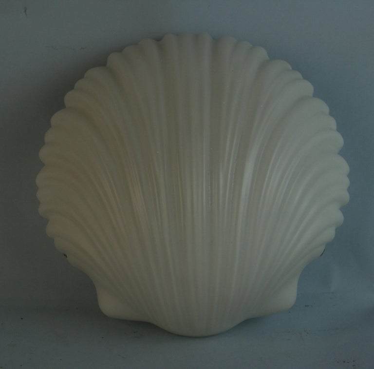 Single Opaline Glass Nautical Shell Shaped Wall Sconce For Sale at 1stDibs