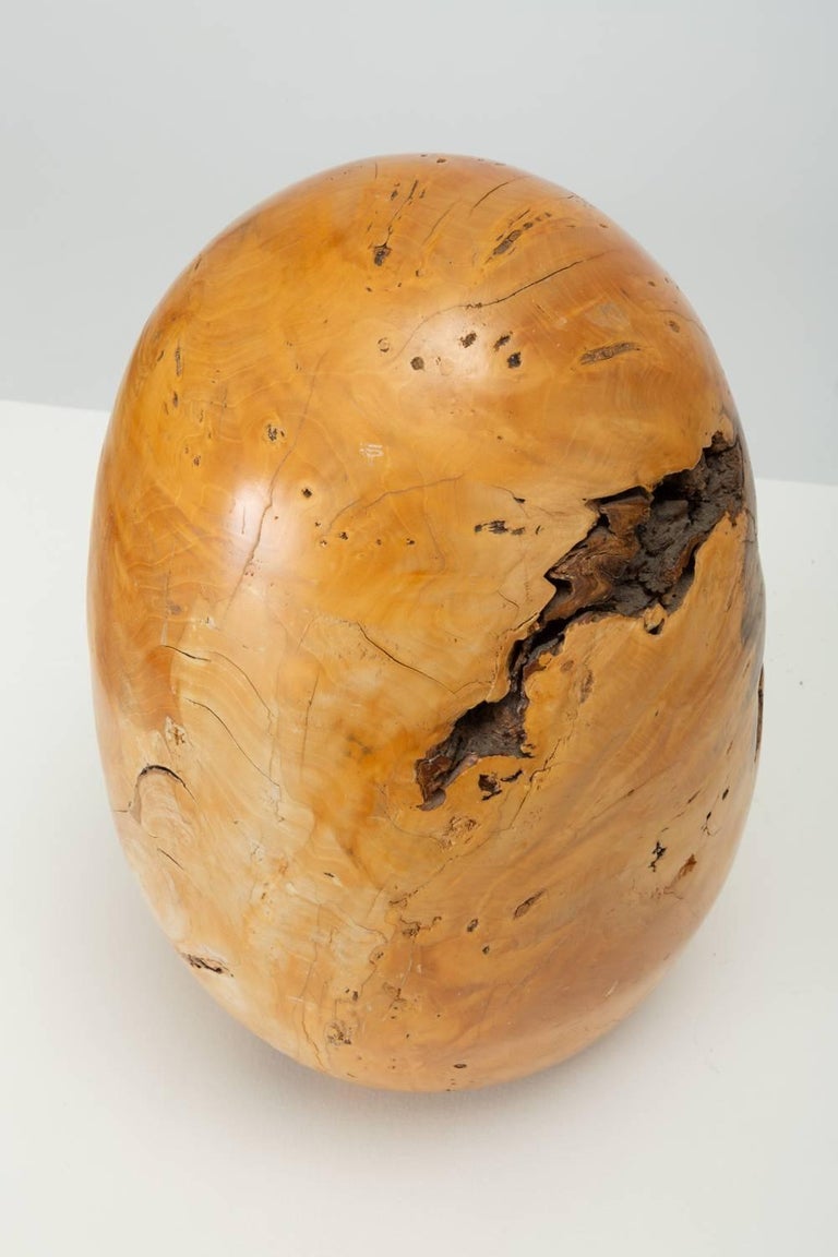 Single Turned Wood Object by Chuck McLaughlin at 1stDibs