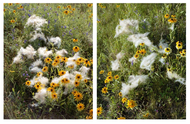 Siri Kaur - Fur Flowers For Sale at 1stDibs