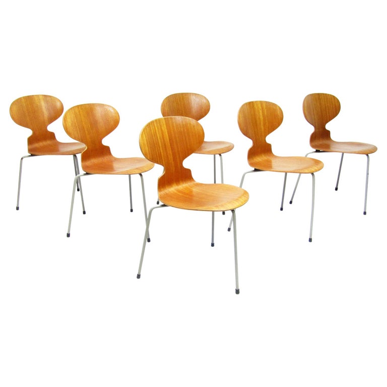Six 1950s "Model 3100" Ant Chairs in Teak by Arne Jacobsen for Fritz ...