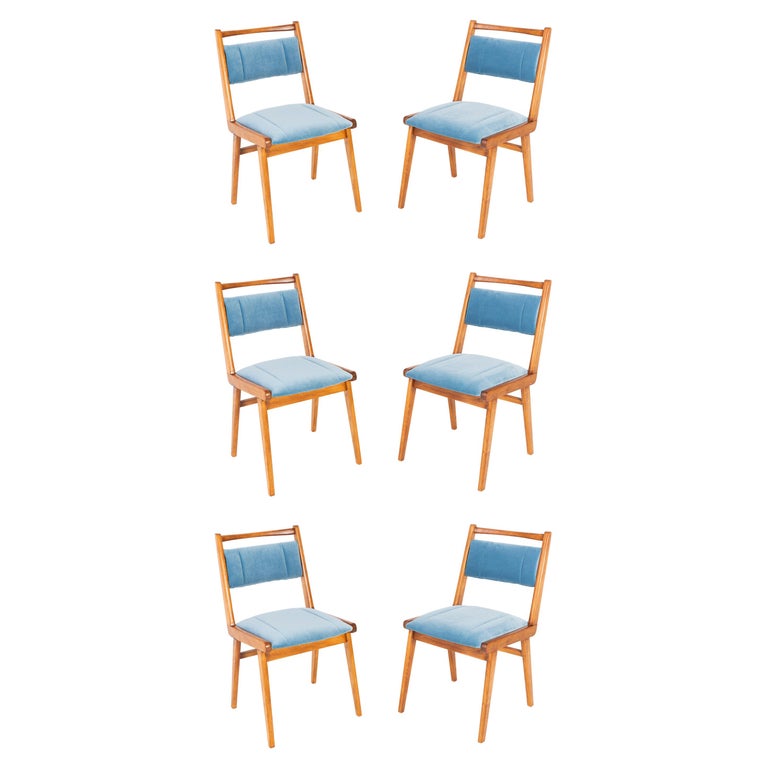 Six 20th Century Blue Velvet Chairs, Poland, 1960s For Sale at 1stDibs