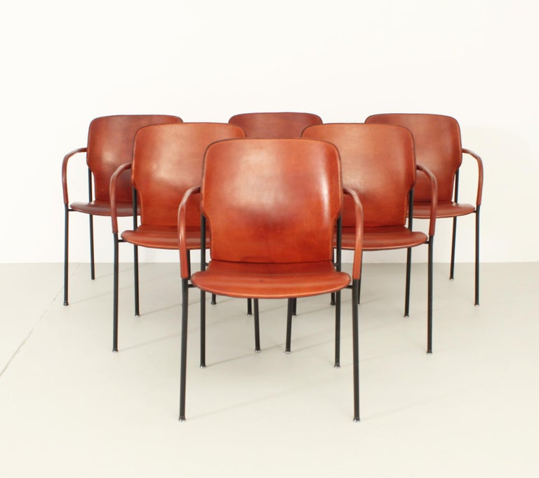 Six Leather Lalanda Chairs by Gianfranco Frattini at 1stDibs