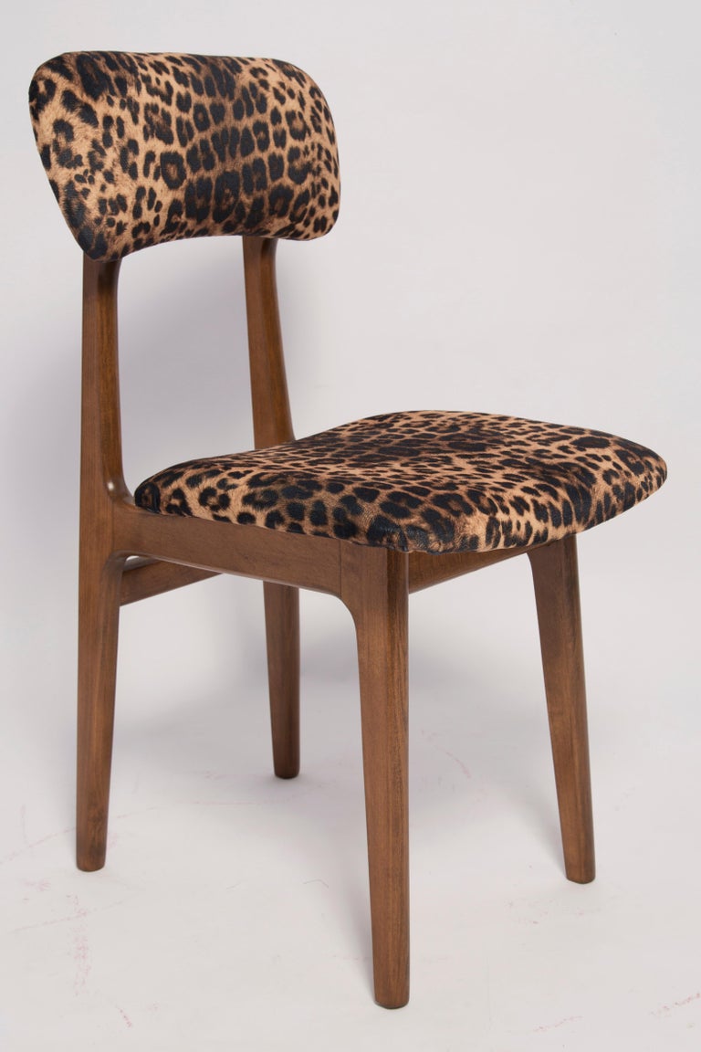 Six Mid Century Leopard Velvet Chairs, Walnut Wood, Rajmund Halas ...